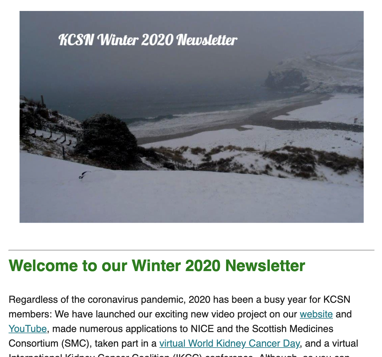 Newsletters - Action Kidney Cancer