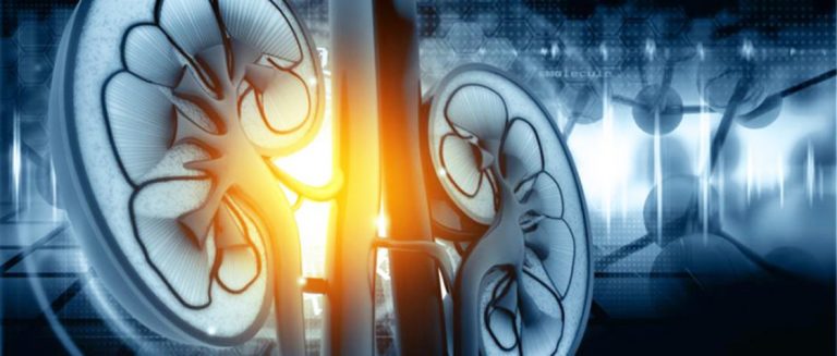 Leibovich score - Action Kidney Cancer